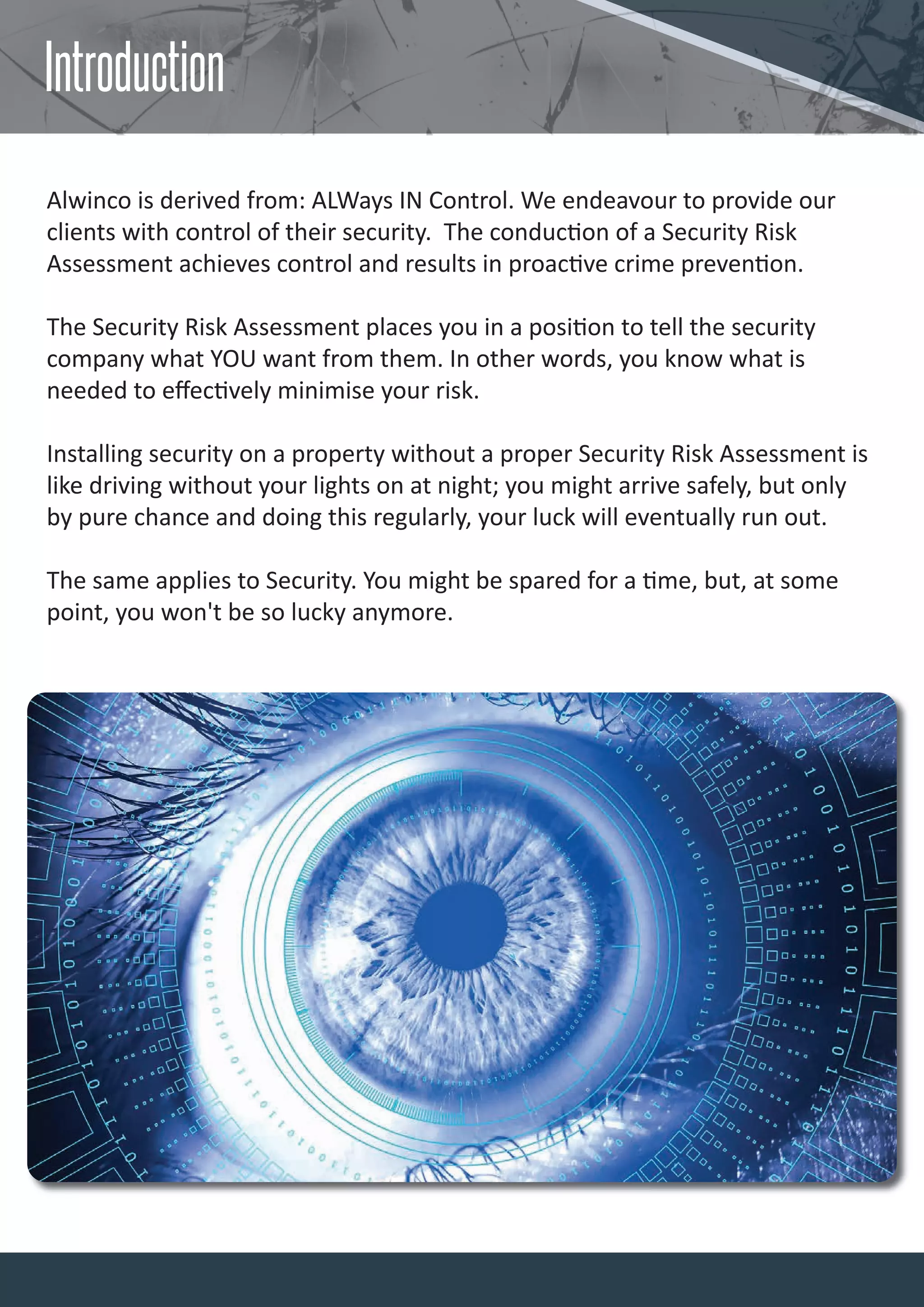 Security Risk Assessment | PDF