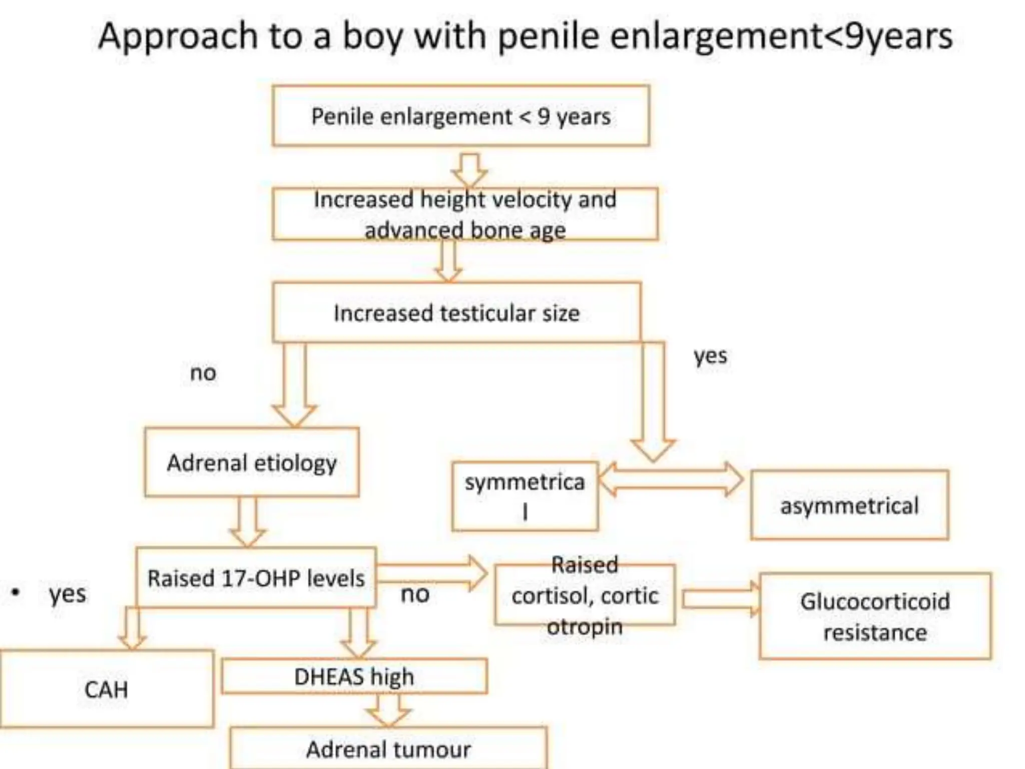ALYAN TAHIR PRECOCIOUS PUBERTY.pptx endo | PPTX