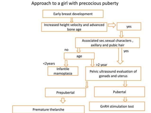 ALYAN TAHIR PRECOCIOUS PUBERTY.pptx endo | PPT