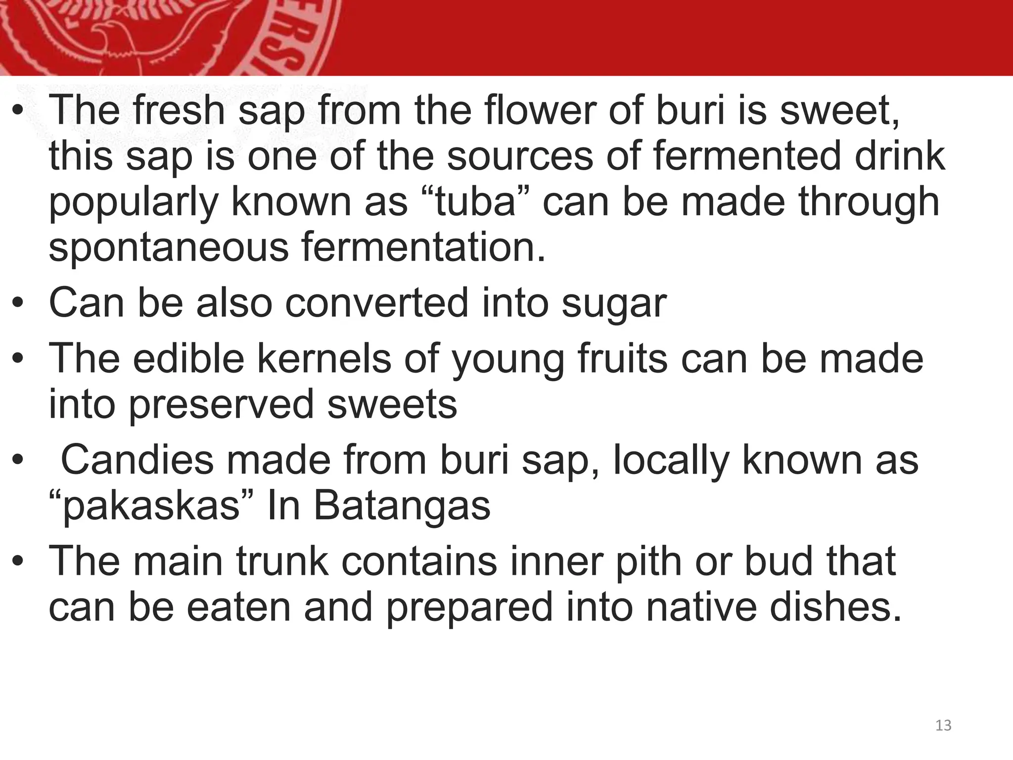 non wood products in the philippines.pptx