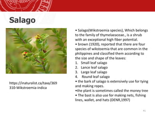 non wood products in the philippines.pptx