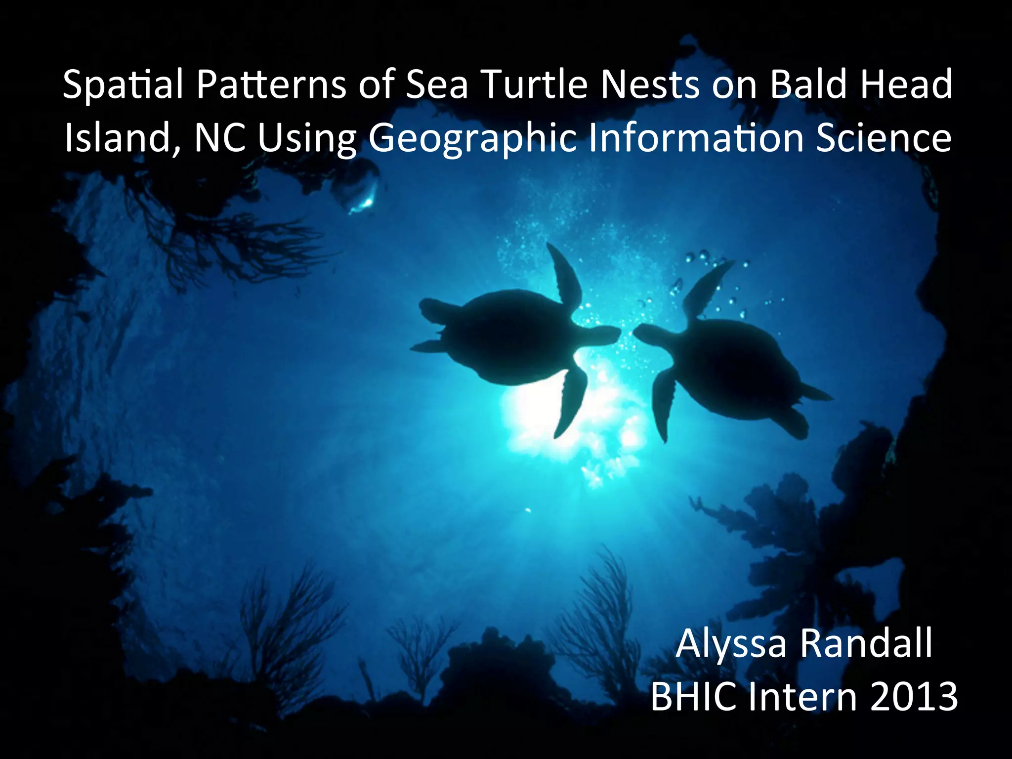 Spatial Patterns of Sea Turtle Nests on Bald Head Island, NC Using GIS ...