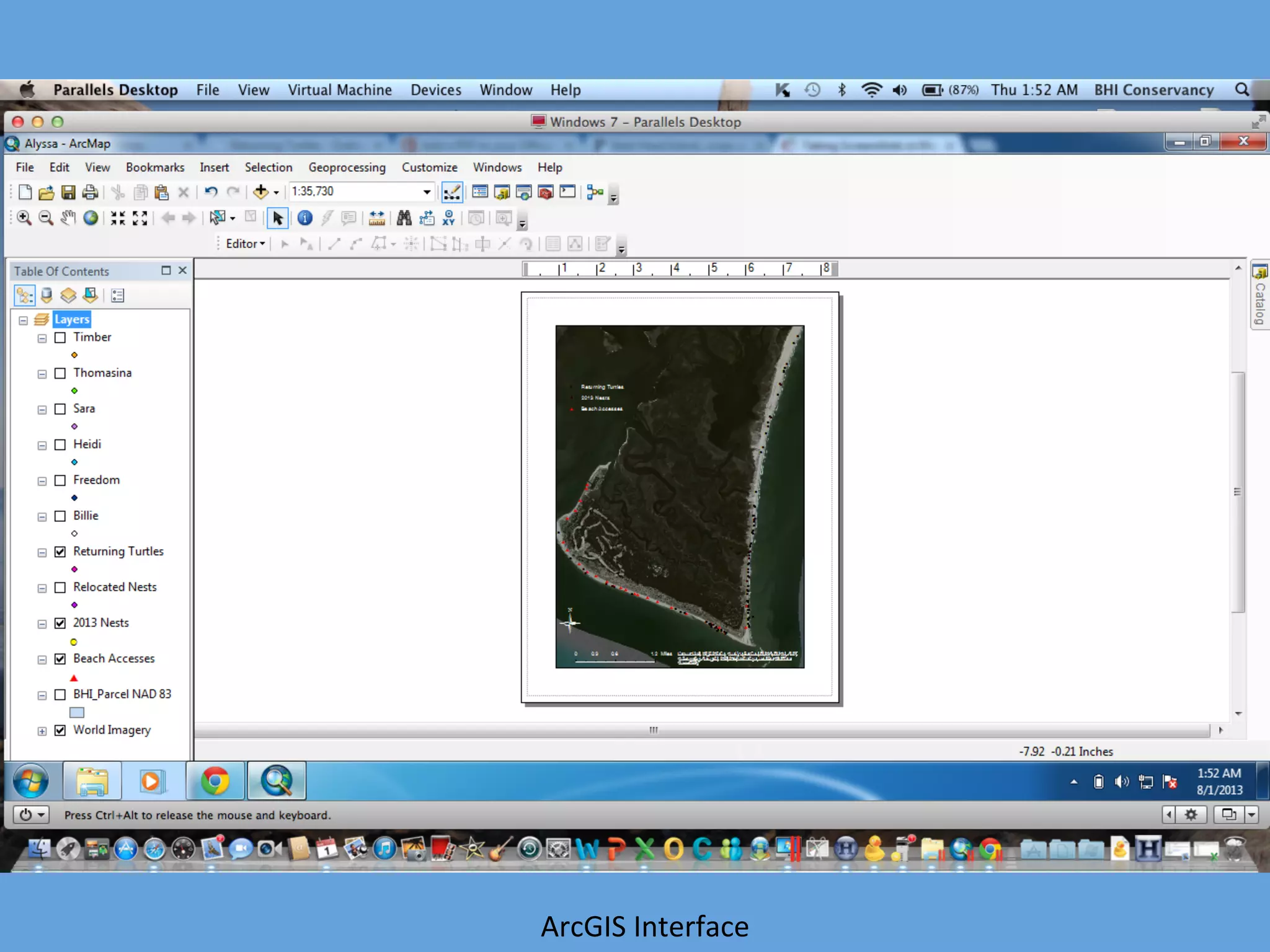Spatial Patterns of Sea Turtle Nests on Bald Head Island, NC Using GIS ...