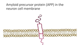 Alzheimer disease.pptx