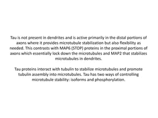 Alzheimer's disease | PPT