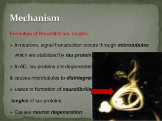 Alzheimer's disease | PPT