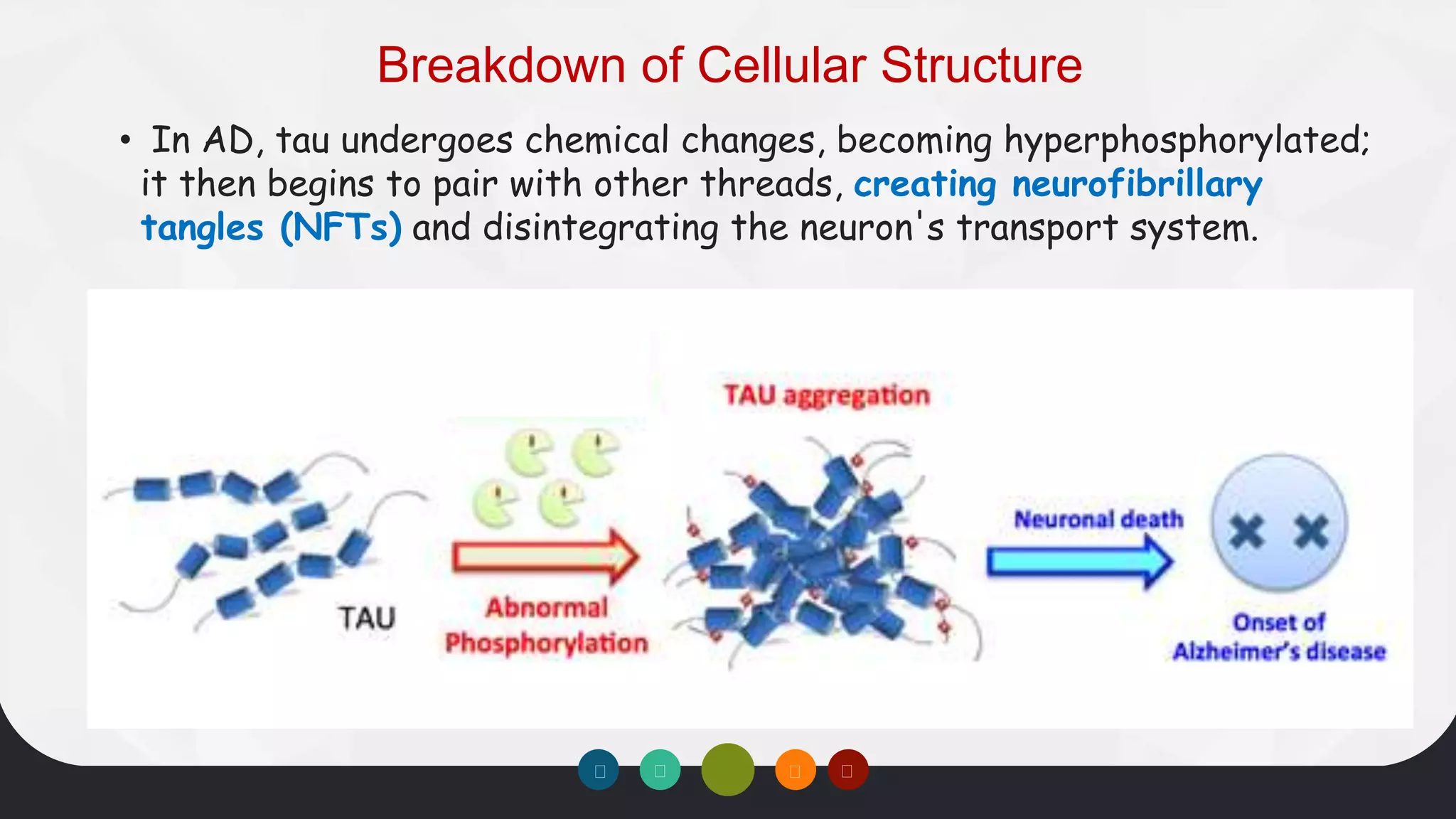 Biochemistry of Alzheimers disease | PPTX