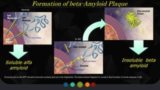 Biochemistry of Alzheimers disease | PPTX