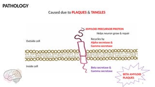 Alzheimers disease.Symptoms and Management | PPT