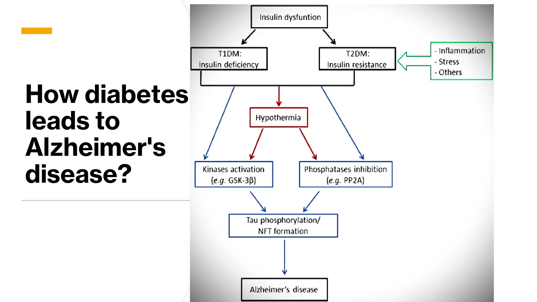 alzhimer disease introduction, treatment and symptoms | PPT