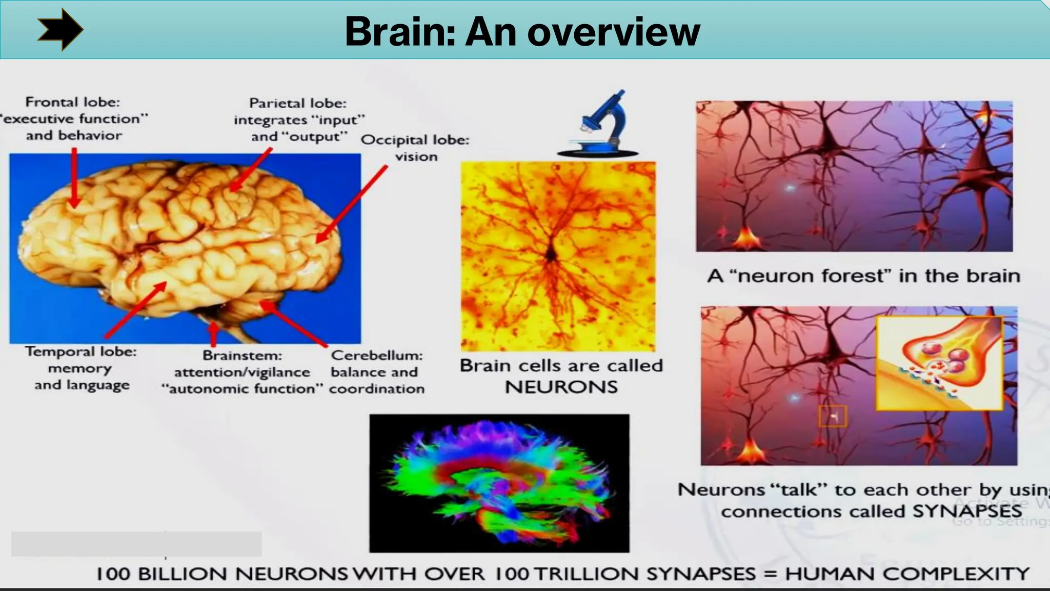 alzhimer disease introduction, treatment and symptoms | PPT