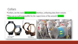 Animal monitoring and its applications in agriculture | PPTX