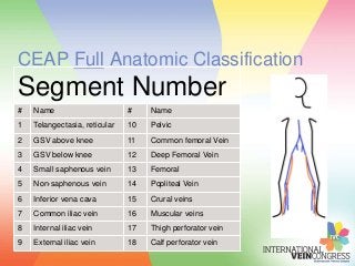 CEAP: The Key to the Initial Consultation