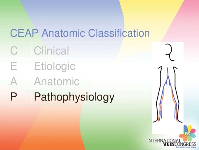 CEAP: The Key to the Initial Consultation