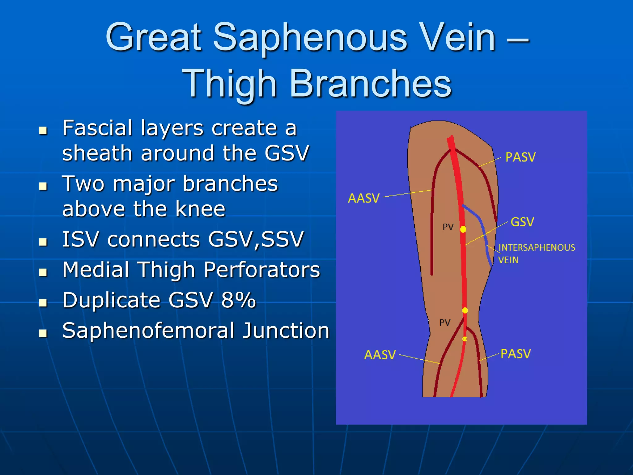 The Great Saphenous Vein | PDF