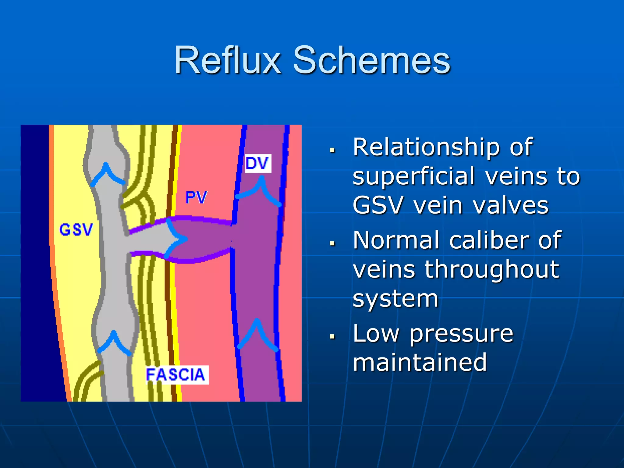 The Great Saphenous Vein | PDF