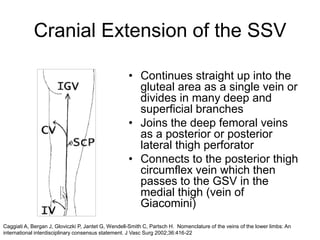 Small Saphenous Thermal Ablation | PDF
