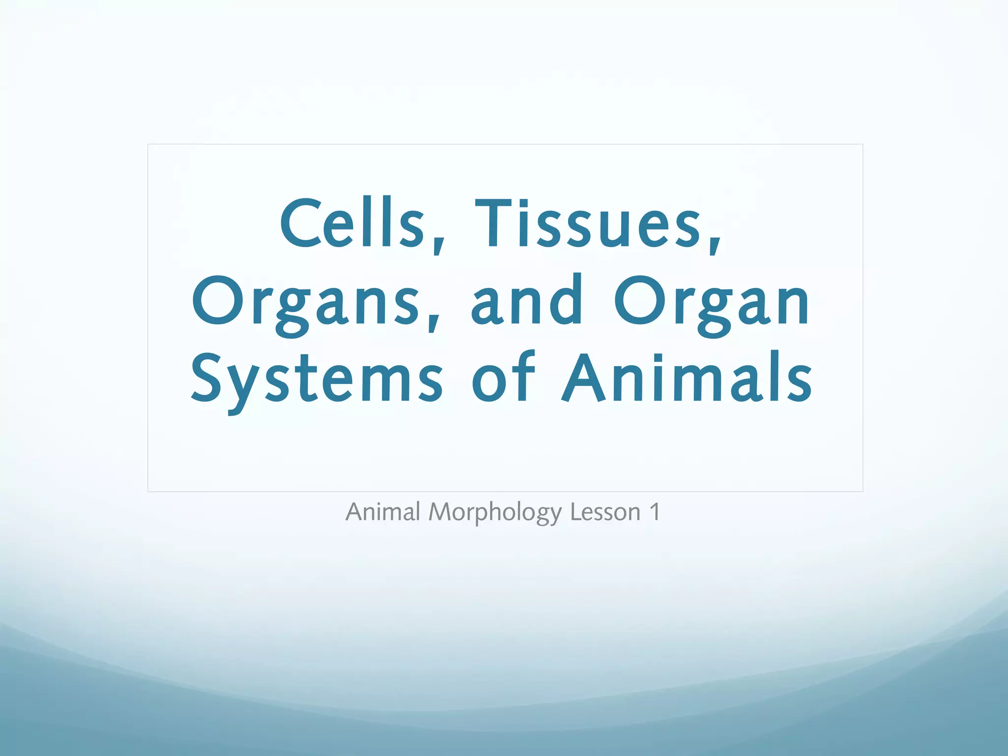 Animal Morphology : Cells, Tissues, Organs and Organ Aystems of Animals ...