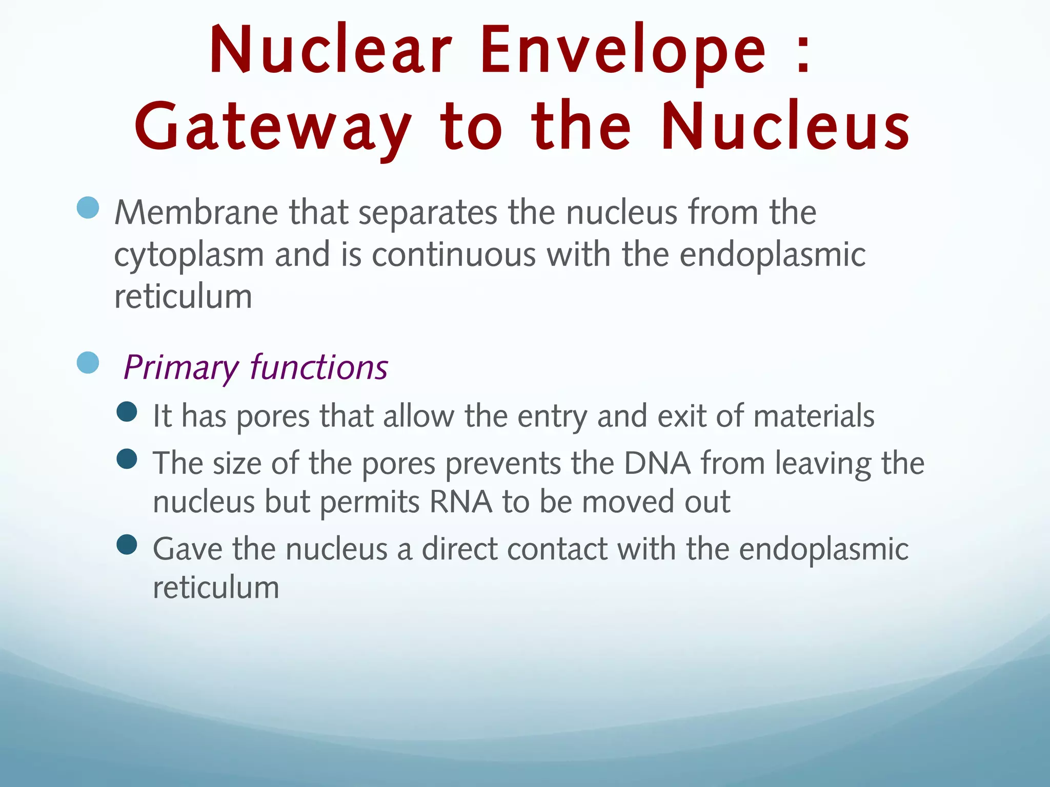 Animal Morphology : Cells, Tissues, Organs and Organ Aystems of Animals ...