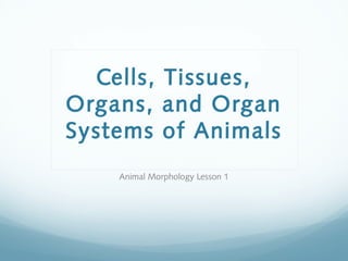 Animal Morphology : Cells, Tissues, Organs and Organ Aystems of Animals ...