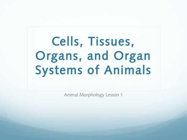 Animal Morphology : Cells, Tissues, Organs and Organ Aystems of Animals ...