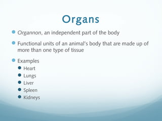 Animal Morphology : Cells, Tissues, Organs and Organ Aystems of Animals ...