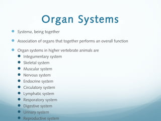 Animal Morphology : Cells, Tissues, Organs and Organ Aystems of Animals ...