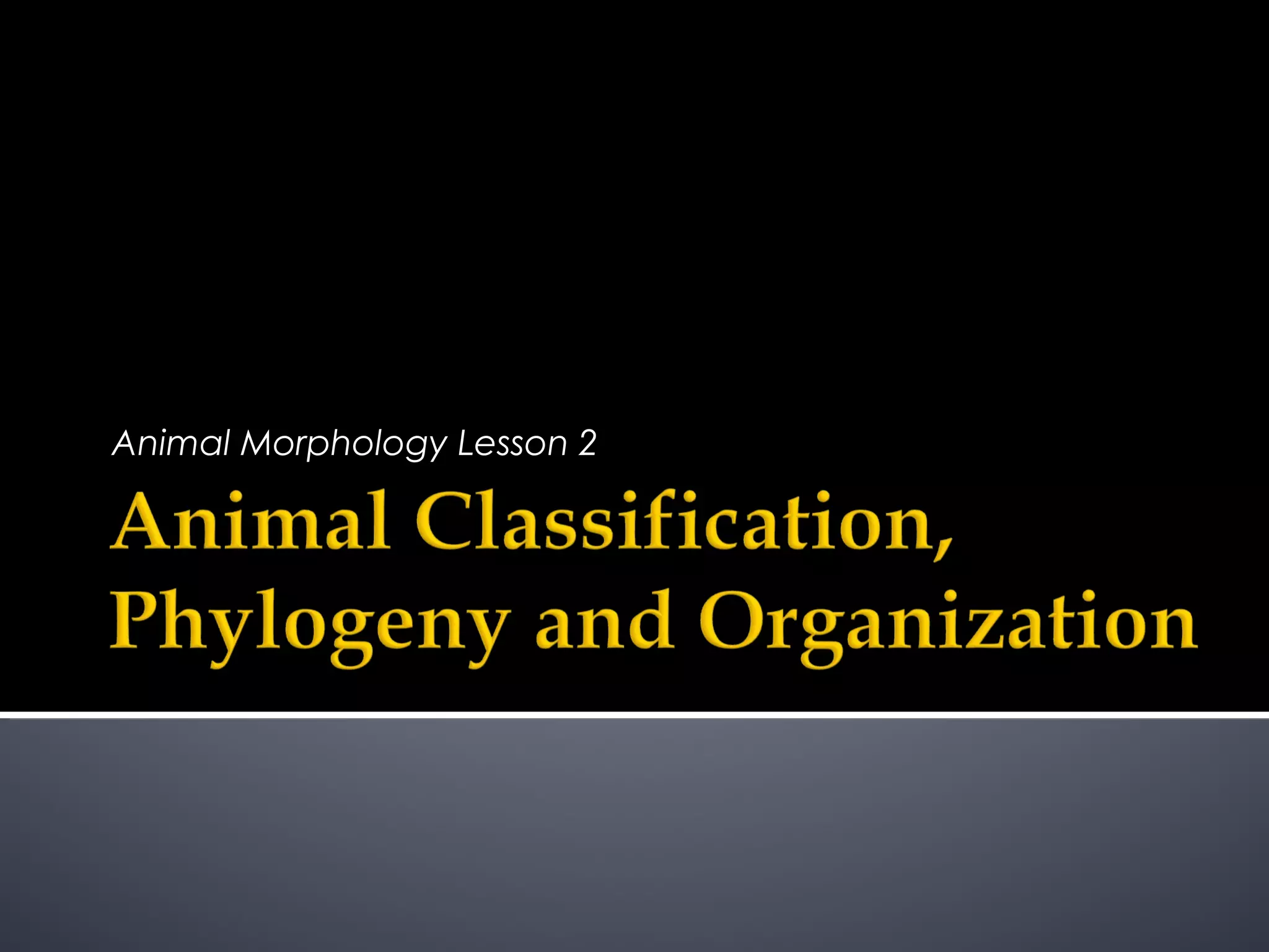 Animal Morphology : Animal Classification, Phylogeny and Organization | PPT
