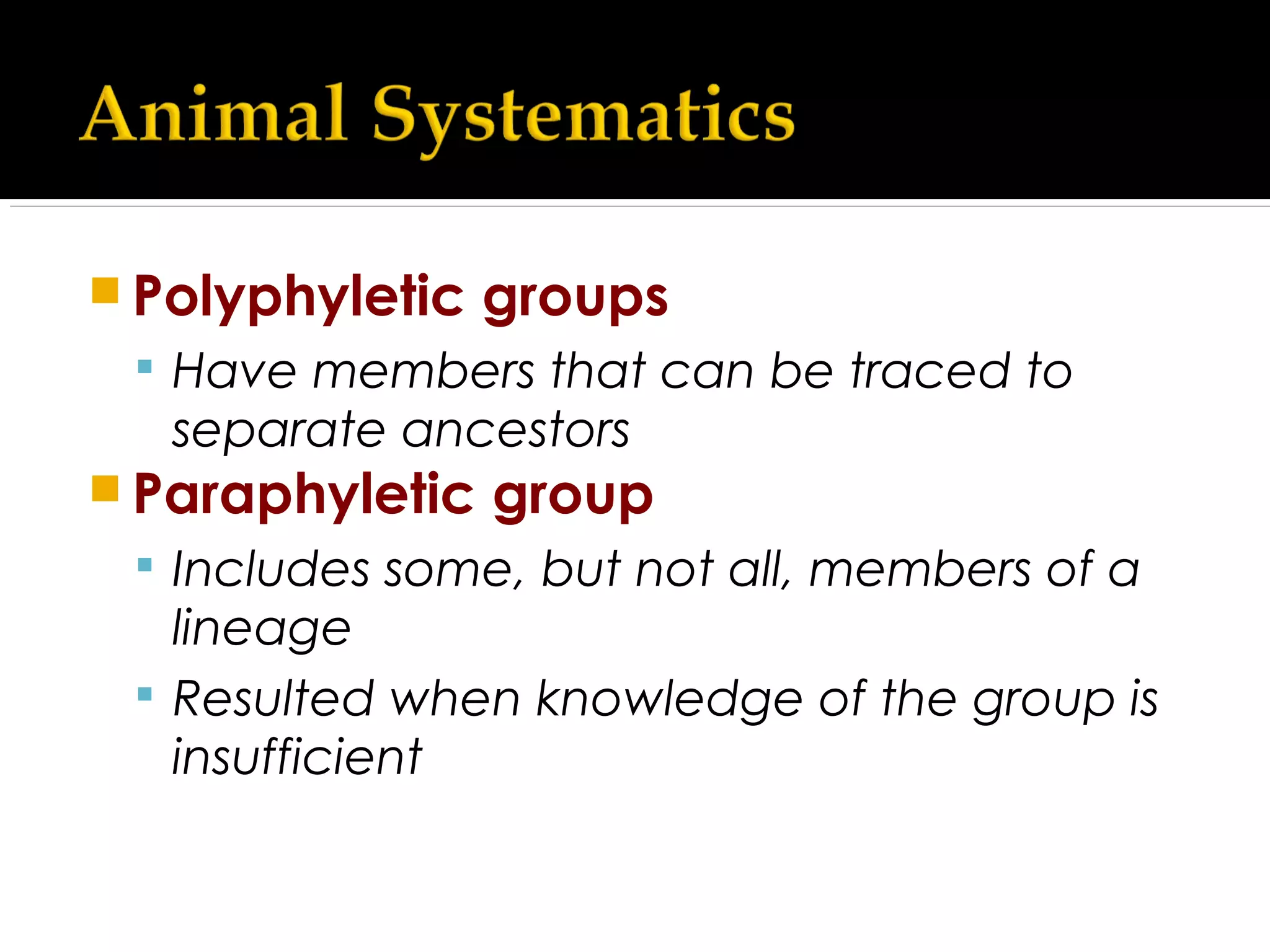 Animal Morphology : Animal Classification, Phylogeny and Organization | PPT