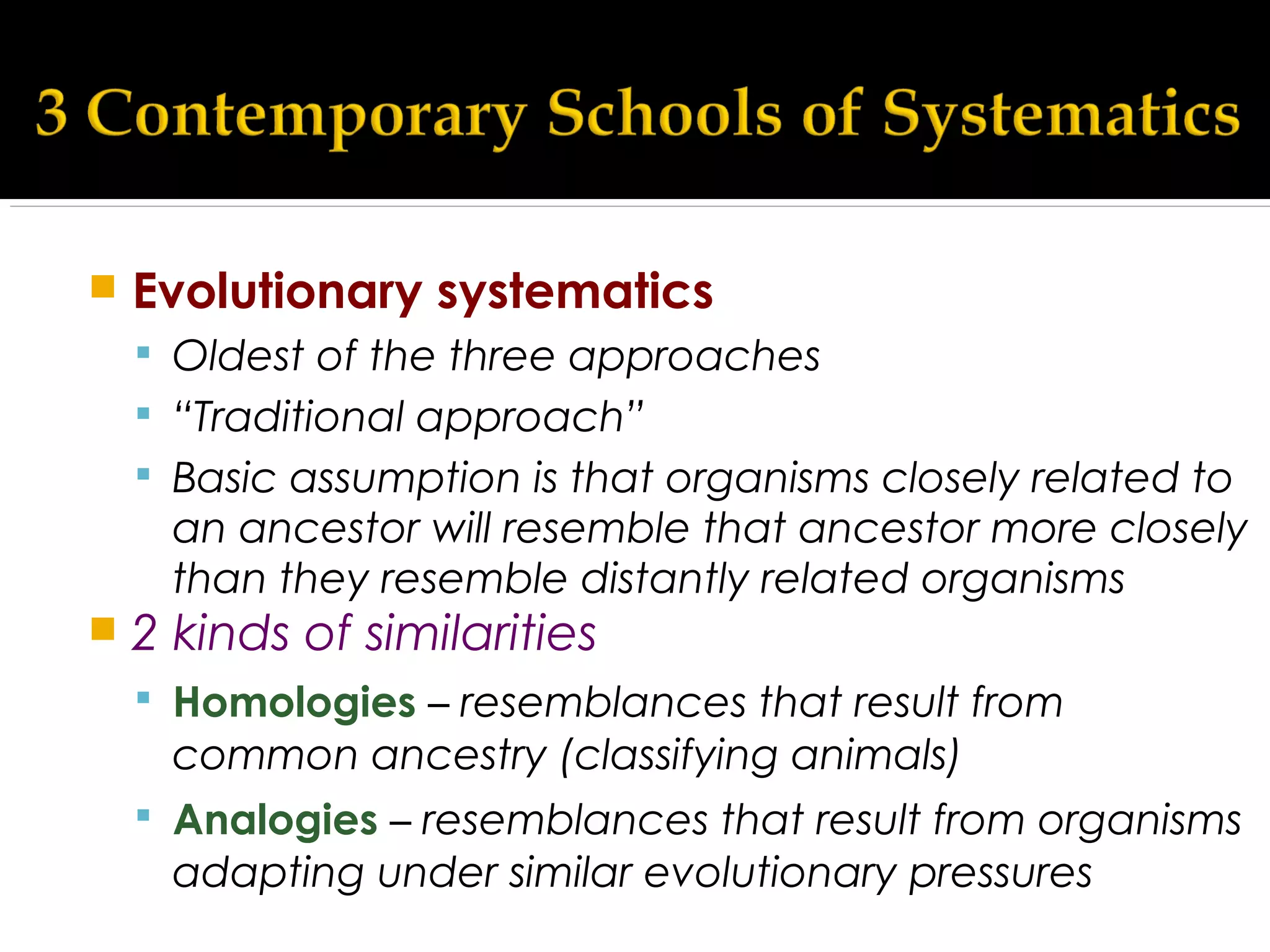 Animal Morphology : Animal Classification, Phylogeny and Organization | PPT
