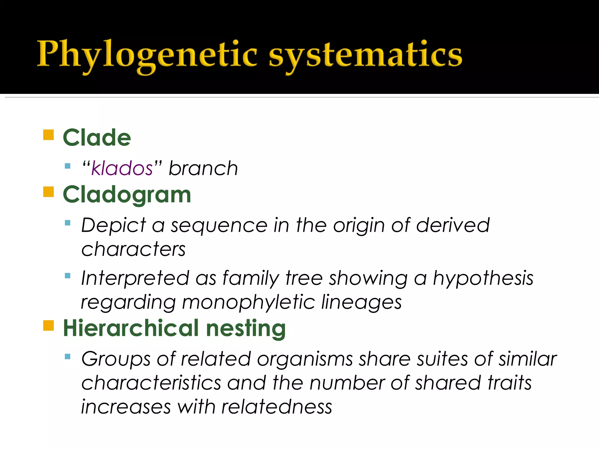 Animal Morphology : Animal Classification, Phylogeny and Organization | PPT