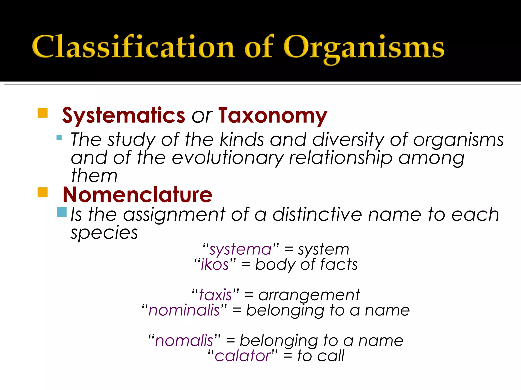 Animal Morphology : Animal Classification, Phylogeny and Organization | PPT