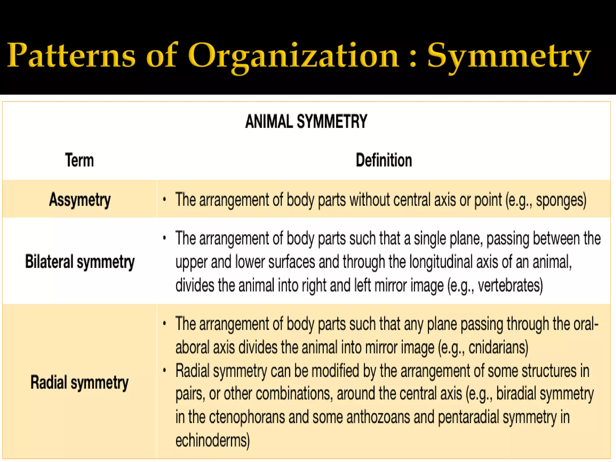 Animal Morphology : Animal Classification, Phylogeny and Organization | PPT