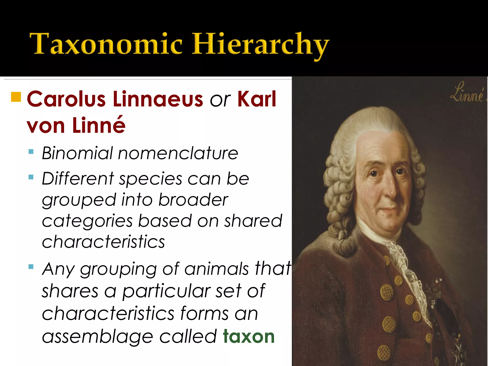 Animal Morphology : Animal Classification, Phylogeny and Organization | PPT