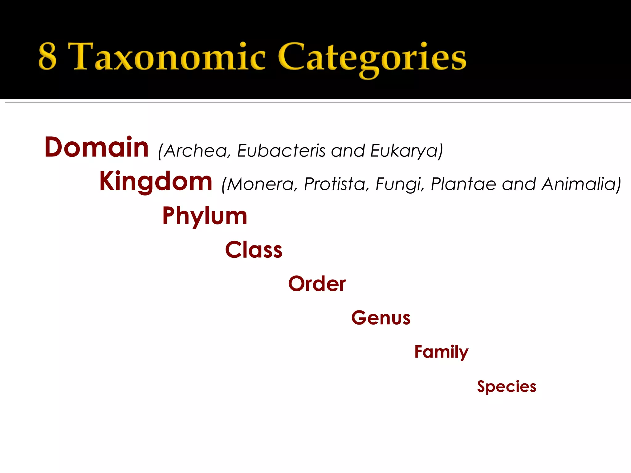 Animal Morphology : Animal Classification, Phylogeny and Organization | PPT