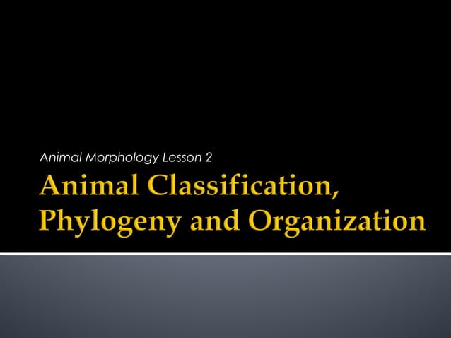 Animal Morphology : Animal Classification, Phylogeny and Organization | PPT