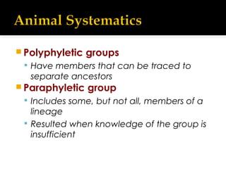 Animal Morphology : Animal Classification, Phylogeny and Organization | PPT