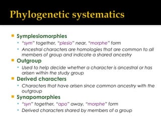 Animal Morphology : Animal Classification, Phylogeny and Organization | PPT