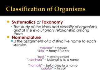Animal Morphology : Animal Classification, Phylogeny and Organization | PPT