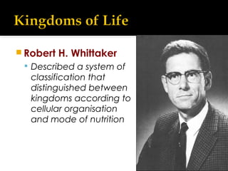 Animal Morphology : Animal Classification, Phylogeny and Organization | PPT