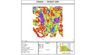 Stephen Machado | PPT