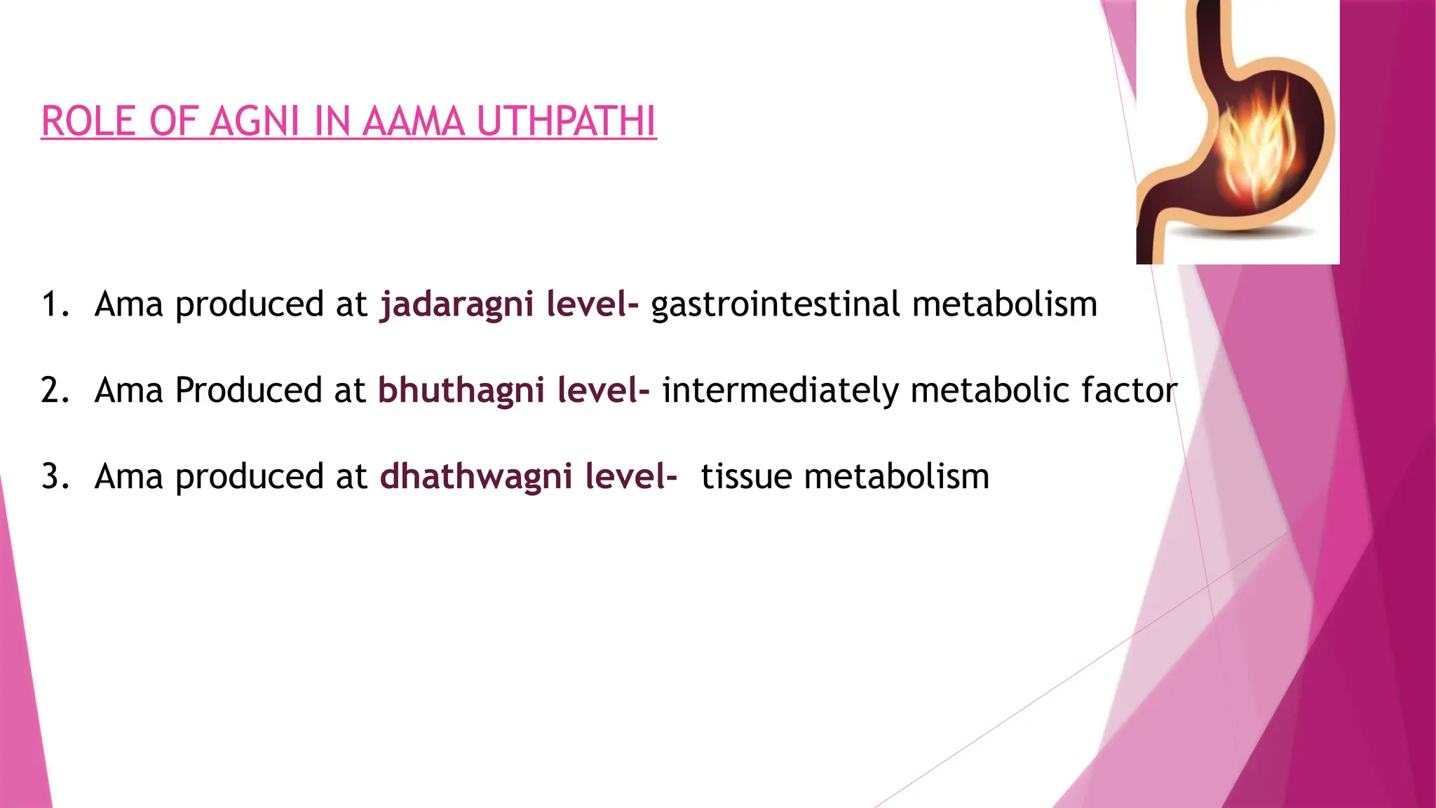 correlation and concept of ama and freeradicals | PPTX