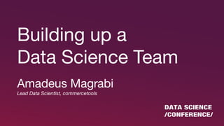 Building up a Data Science Team from Scratch | PDF