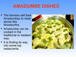 Amadumbe for Life | PPT | Agriculture | Industries