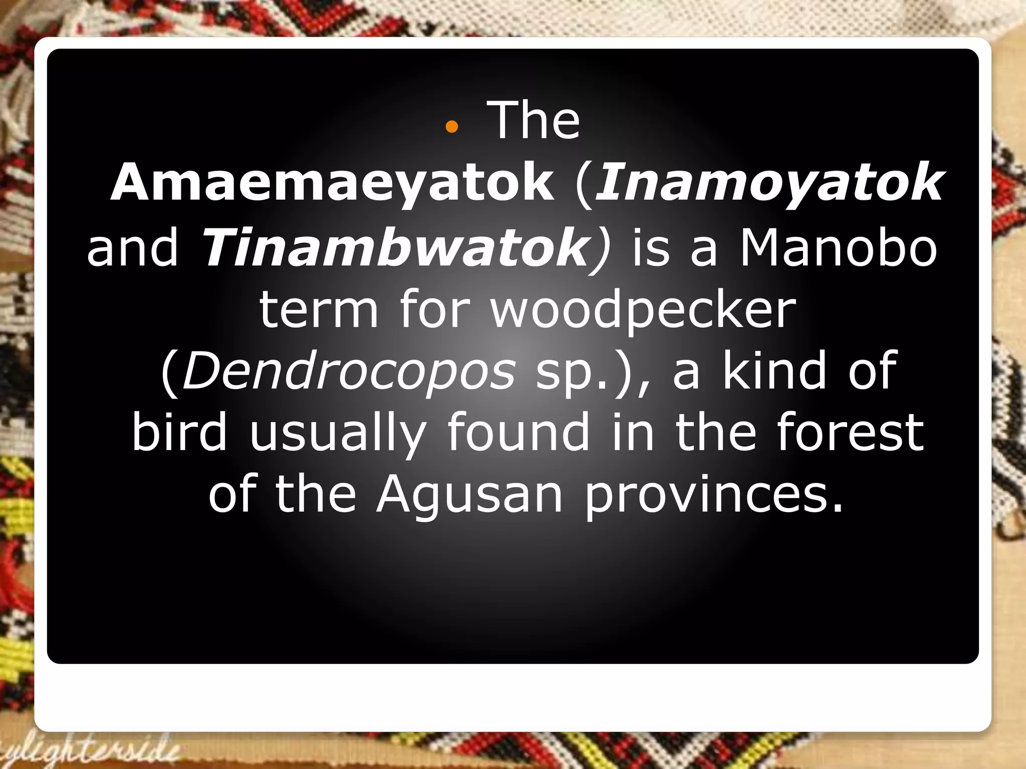 Amaemaetatok and Binanog (Philippine Folk Dance) | PPTX