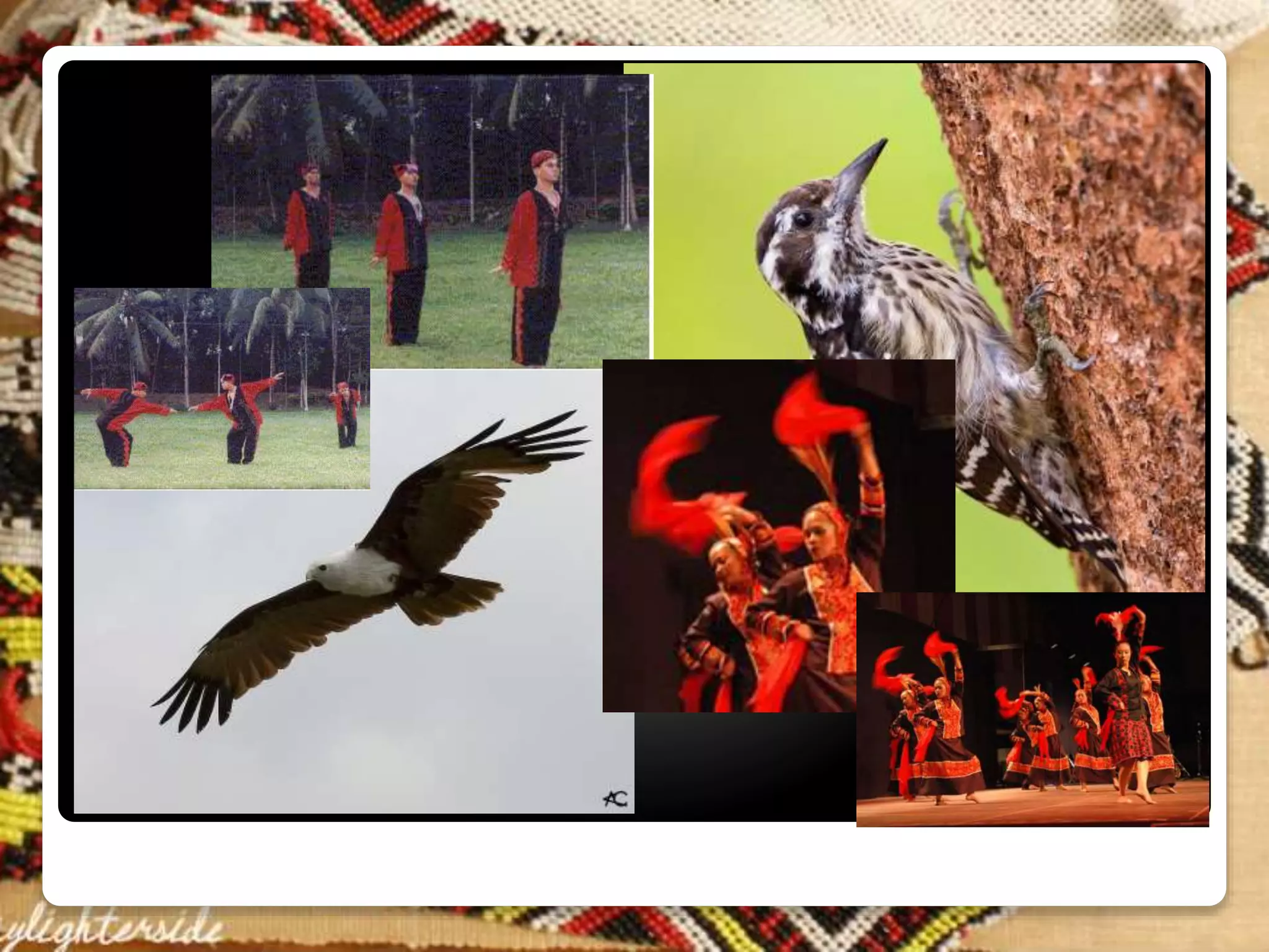 Amaemaetatok and Binanog (Philippine Folk Dance) | PPTX