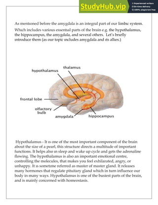 Amagdala And Its Functions | PDF