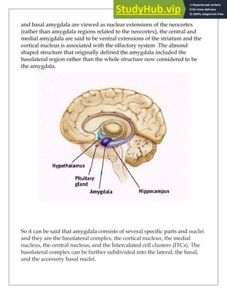 Amagdala And Its Functions | PDF