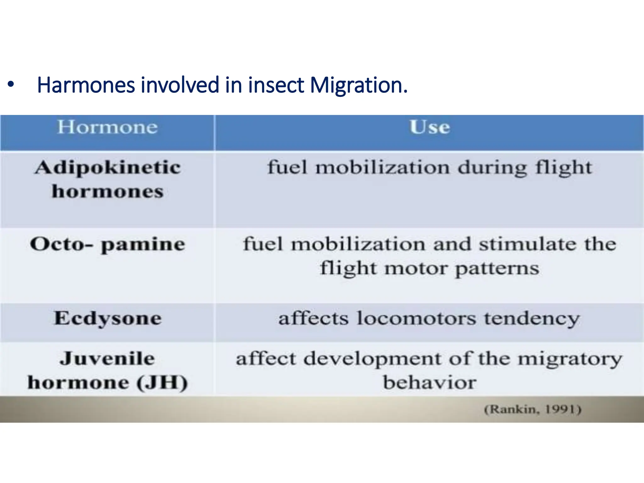 Insect Migration and displacement .pptx