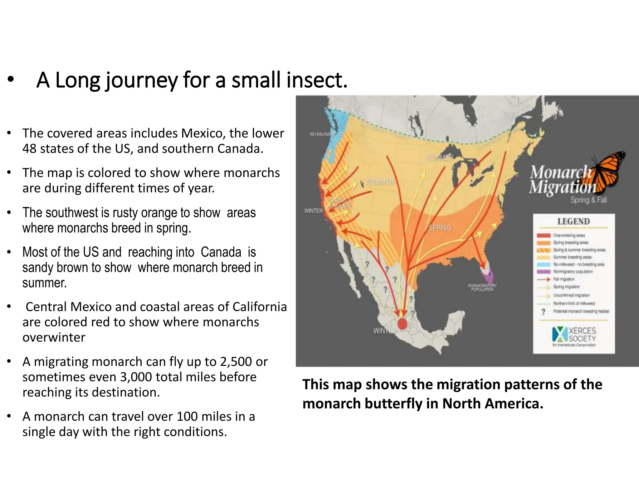 Insect Migration and displacement .pptx